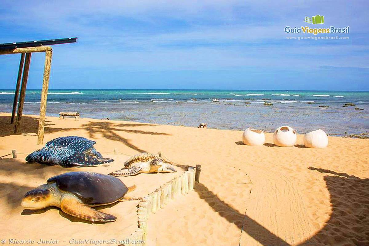 PRAIA DO FORTE: o que saber antes de ir e o que fazer
