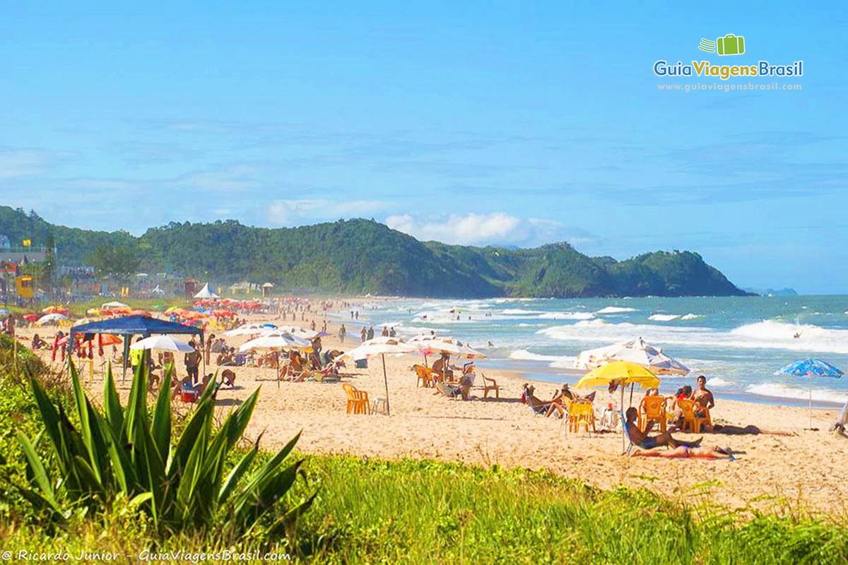 Melhores PRAIAS de BALNEÁRIO CAMBORIÚ