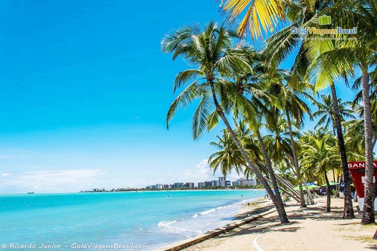MELHORES PRAIAS de MACEIÓ e Arredores - Dicas e Fotos