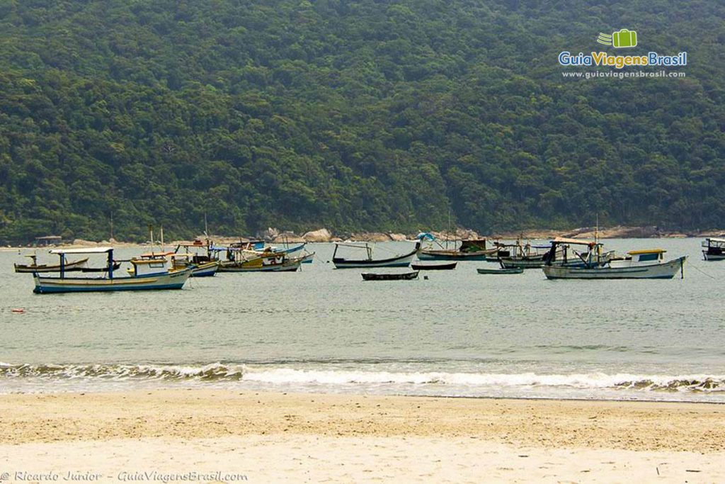 PRAIA DO PEREQUÊ (Guarujá): o que saber antes de ir, fotos e dicas