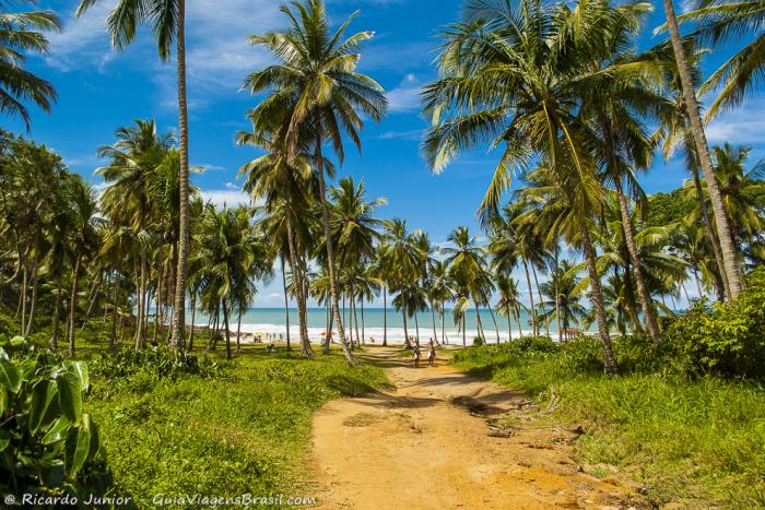 Itacaré - Guia de Viagem, Dicas de passeios e Hospedagem