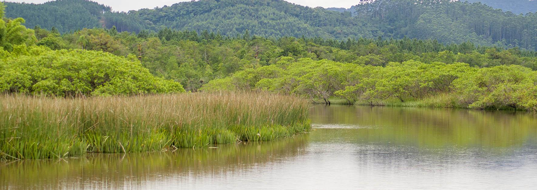 Garuva - Guia de Viagem, Dicas de passeios e Hospedagem